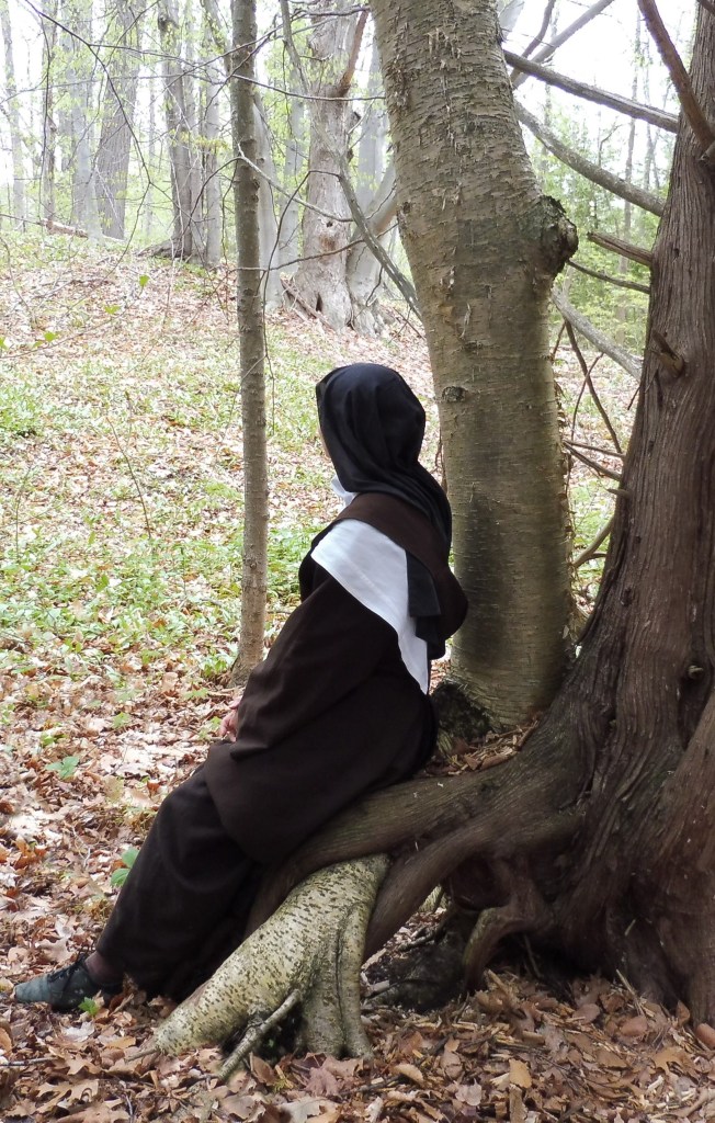 Discerning your vocation? | Carmelite Monastery of the Infant Jesus of ...